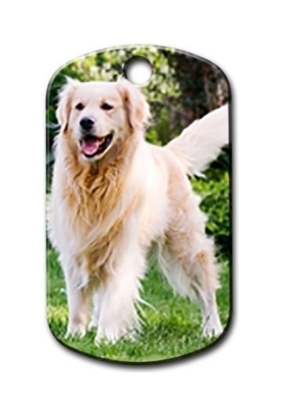 See Me Golden Retriever Köpek Künyesi