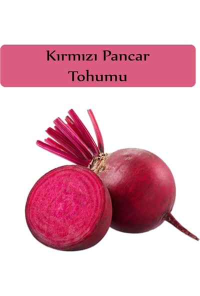 Çermik Fidancılık Kırmızı Pancar Tohumu 10 gr Çermik Fidancılık Kırmızı Pancar Tohumu 10 gr