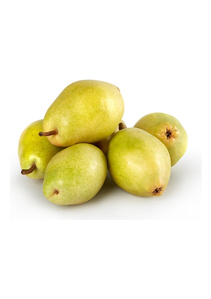 Armut Santa Maria (1 Kg) Fiyatı, Taksit Seçenekleri ile Satın Al