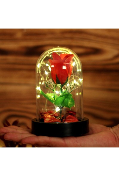 LED Işıklı Fanus Gül