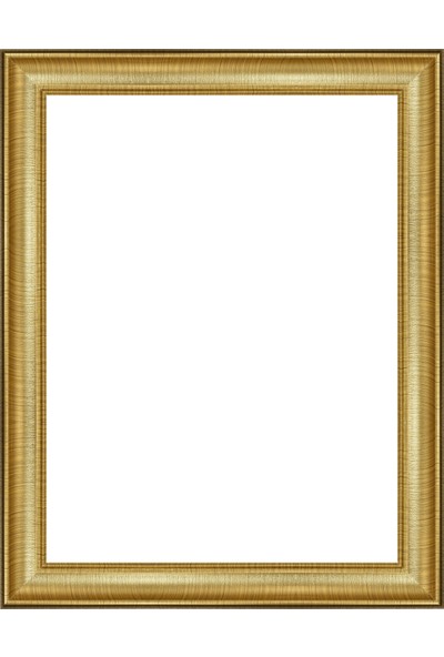C2 Belge Çerçevesi | 40 mm - Altın - Camsız Çerçeve