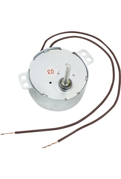 Powermaster Motor 220V 15R/MIT Dc Motor Şömine Motoru Powermaster Motor 220V 15R/MIT Dc Motor Şömine Motoru