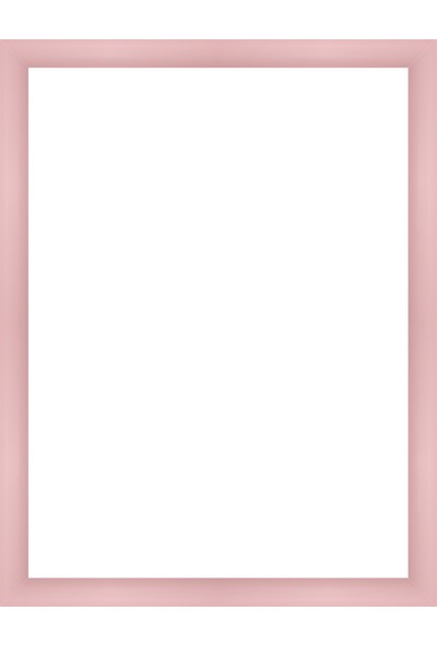 Resim Shop Resim Çerçevesi | 22 mm - Pembe - Antireflekte Pvc Camlı Çerçeve | Ölçü Seçenekli Resim Shop Resim Çerçevesi | 22 mm - Pembe - Antireflekte Pvc Camlı Çerçeve | Ölçü Seçenekli