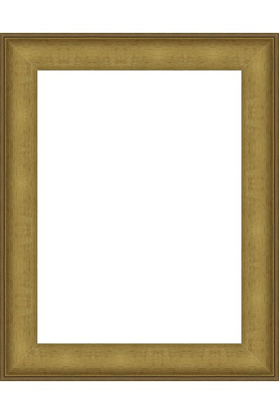 Resim Shop Poster Çerçevesi | 55 mm - Altın - Camsız Çerçeve | Ölçü Seçenekli Resim Shop Poster Çerçevesi | 55 mm - Altın - Camsız Çerçeve | Ölçü Seçenekli