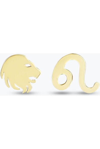 Altınbaş Altınbaş Altınbaş Burç Aslan Küpe