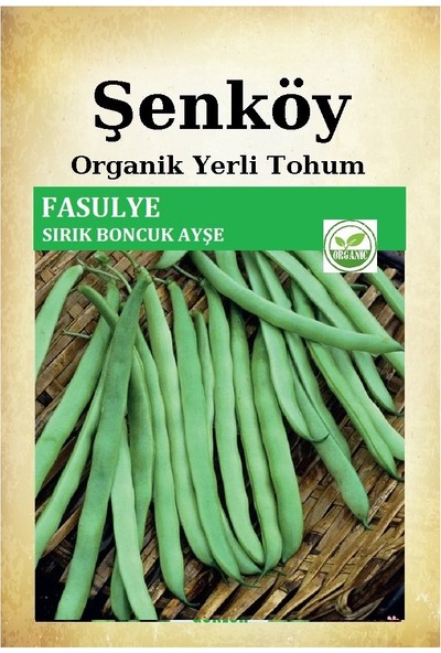 Şenköy Sırık Boncuk Ayşe Fasulye Tohumu Doğal Ata Kılçıksız Sırık Fasulye Tohum Pakette 25 gr Şenköy Sırık Boncuk Ayşe Fasulye Tohumu Doğal Ata Kılçıksız Sırık Fasulye Tohum Pakette 25 gr