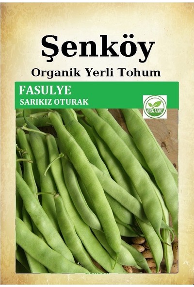 Şenköy Sarıkız Fasulye Tohumu Doğal Ata Kılçıksız Sarıkız Oturak Fasulye Tohum Pakette 25 gr Şenköy Sarıkız Fasulye Tohumu Doğal Ata Kılçıksız Sarıkız Oturak Fasulye Tohum Pakette 25 gr