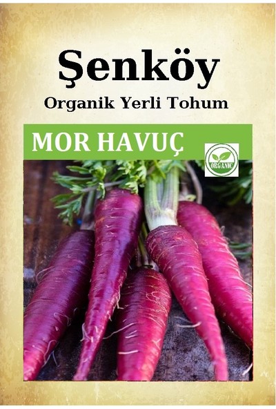 Şenköy Yerli Havuç Tohumu Doğal Ata Mor Havuç Tohumu Pakette 5 gr 5000 Tohum Şenköy Yerli Havuç Tohumu Doğal Ata Mor Havuç Tohumu Pakette 5 gr 5000 Tohum