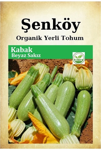 Şenköy Yerli Beyaz Sakız Kabak Tohumu Doğal Ata Dolmalık Beyaz Kabak Tohumu Pakette 10 gr 80 Adet Şenköy Yerli Beyaz Sakız Kabak Tohumu Doğal Ata Dolmalık Beyaz Kabak Tohumu Pakette 10 gr 80 Adet