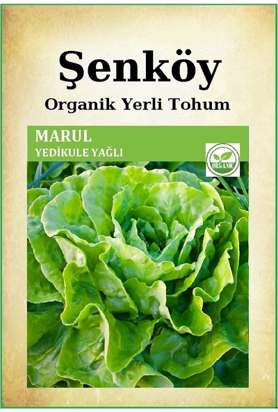 Şenköy Yerli Yedikule Marul Tohumu Doğal Ata Yedikule Yağlı Marul Tohumu Pakette 10 gr 8000 Adet Şenköy Yerli Yedikule Marul Tohumu Doğal Ata Yedikule Yağlı Marul Tohumu Pakette 10 gr 8000 Adet