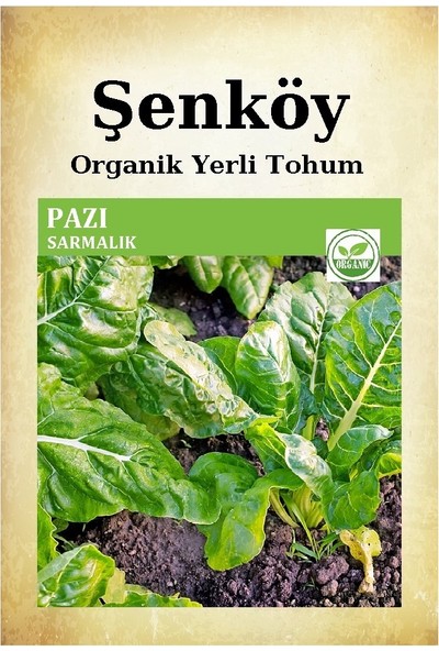 Şenköy Yerli Pazı Tohumu Doğal Ata Sarmalık Pazı Tohumu Pakette 10 gr 400 Tohum Şenköy Yerli Pazı Tohumu Doğal Ata Sarmalık Pazı Tohumu Pakette 10 gr 400 Tohum