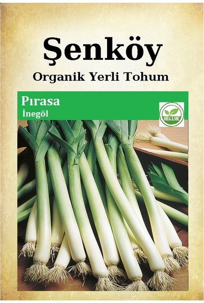 Şenköy Yerli Inegöl Pırasa Tohumu Doğal Ata Beyaz Uzun Bacak Pırasa Tohumu Pakette 10 gr 2750 Tohum Şenköy Yerli Inegöl Pırasa Tohumu Doğal Ata Beyaz Uzun Bacak Pırasa Tohumu Pakette 10 gr 2750 Tohum