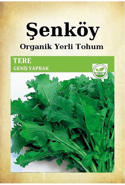Şenköy Yerli Tere Tohumu Doğal Ata Toros Geniş Yaprak Tere Tohumu Pakette 25 gr 17500 Adet Şenköy Yerli Tere Tohumu Doğal Ata Toros Geniş Yaprak Tere Tohumu Pakette 25 gr 17500 Adet