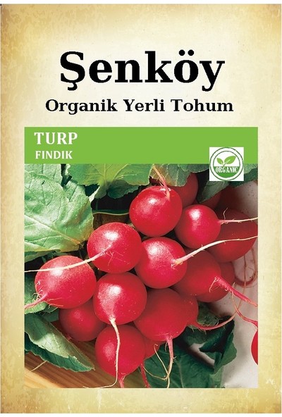 Şenköy Yerli Fındık Turp Tohumu Doğal Ata Küçük Turp Tohumu Pakette 10 gr 1200 Tohum Şenköy Yerli Fındık Turp Tohumu Doğal Ata Küçük Turp Tohumu Pakette 10 gr 1200 Tohum