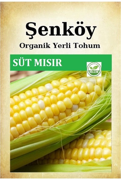 Şenköy Yerli Süt Mısır Tohumu Doğal Ata Haşlamalık Süt Mısır Tohumu Pakette 10 gr 100 Tohum Şenköy Yerli Süt Mısır Tohumu Doğal Ata Haşlamalık Süt Mısır Tohumu Pakette 10 gr 100 Tohum