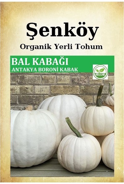 Şenköy Bal Kabağı Tohumu Antakya Boroni Bal Kabağı Tatlı Kabağı Tohumu Pakette 10 gr 50 Tohum Şenköy Bal Kabağı Tohumu Antakya Boroni Bal Kabağı Tatlı Kabağı Tohumu Pakette 10 gr 50 Tohum