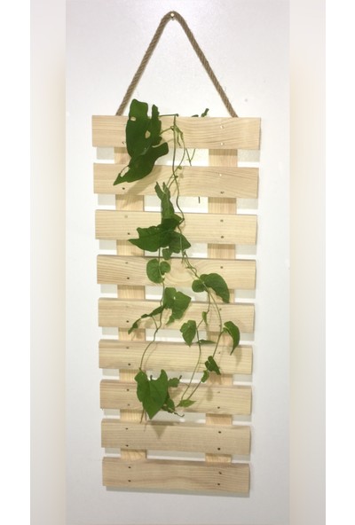 Koza Tasarım Atölyesi Ahşap Tekli Duvar Saksılık 60 cm Koza Tasarım Atölyesi Ahşap Tekli Duvar Saksılık 60 cm