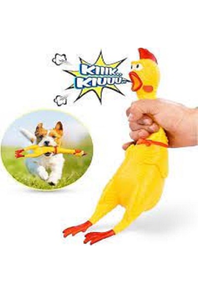 Gedo Pet Bağıran Tavuk Horoz Oyuncak Shrilling Chicken Çocuk Evcil Hayvan Oyuncağı Gedo Pet Bağıran Tavuk Horoz Oyuncak Shrilling Chicken Çocuk Evcil Hayvan Oyuncağı