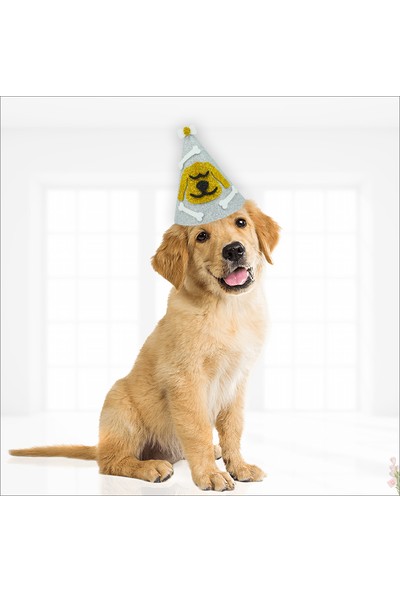 Süsle Bebek ve Parti Köpek Doğum Günü Şapkası Süsle Bebek ve Parti Köpek Doğum Günü Şapkası