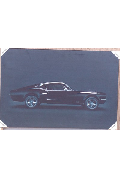 40*60 Araba Silinebilir Kumaş Tabloları 40*60 Araba Silinebilir Kumaş Tabloları