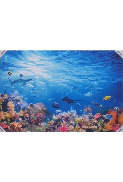 40*60 Akvaryum Silinebilir Kumaş Tablo