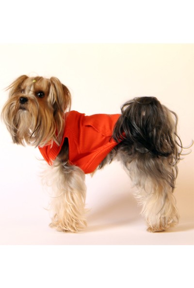 Max Design Kanguru Cep Çapalı Pet Atlet - Turuncu Köpek ve Kedi Kıyafeti Max Design Kanguru Cep Çapalı Pet Atlet - Turuncu Köpek ve Kedi Kıyafeti