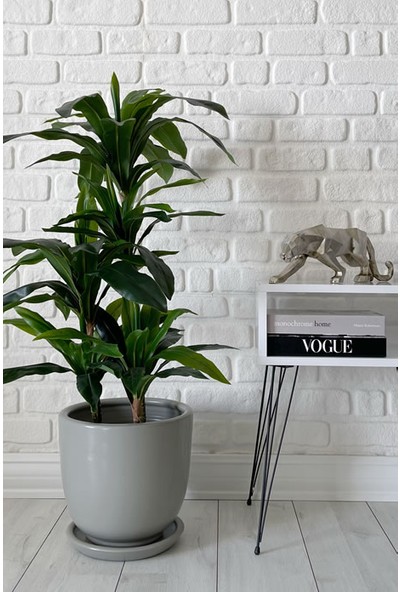 Odka Klasik Saksı Tabaklı 30 Cm Odka Klasik Saksı Tabaklı 30 Cm