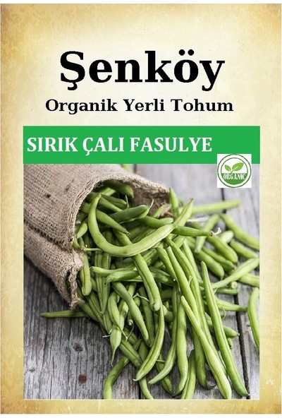 Şenköy Sırık Ince Çalı Fasulye Tohumu Doğal Ata Kılçıksız Sırık Ince Fasulye Tohum Pakette 25 gr Şenköy Sırık Ince Çalı Fasulye Tohumu Doğal Ata Kılçıksız Sırık Ince Fasulye Tohum Pakette 25 gr