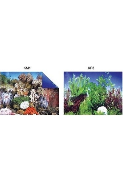 Kw Zone Pls.poster 48 cm 15 mt