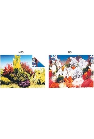 Kw Zone Pls.poster 48 cm 15 mt