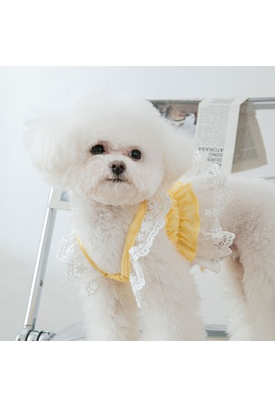 İstanbul Store Dantel Prenses Etek Nefes Alabilen Şifon Kedi Askı Etek Küçük Köpek Evcil Hayvan Giysileri (Yurt Dışından) İstanbul Store Dantel Prenses Etek Nefes Alabilen Şifon Kedi Askı Etek Küçük Köpek Evcil Hayvan Giysileri (Yurt Dışından)