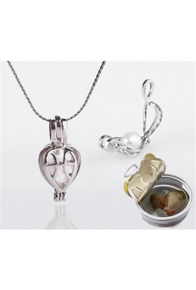 Öz Tekinler Istiridye Kabuğunda Gerçek Inci Kolye