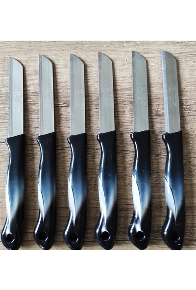 Solingen Meyve Bıçağı 6'lı Set