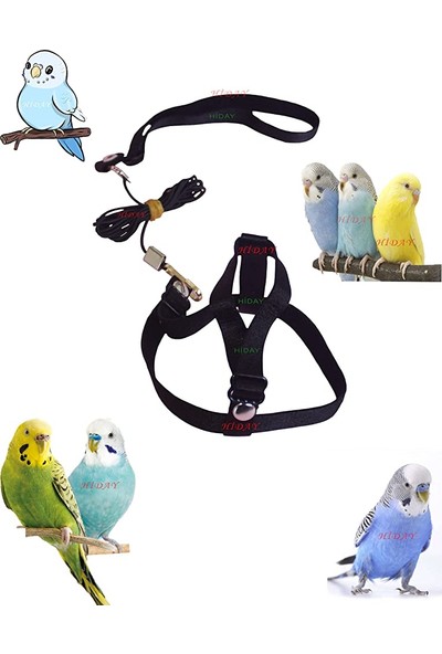 Sinerji Shop Hiday Muhabbet Kuşu Tasması Cennet Papağanı Tasması (Siyah) Sinerji Shop Hiday Muhabbet Kuşu Tasması Cennet Papağanı Tasması (Siyah)