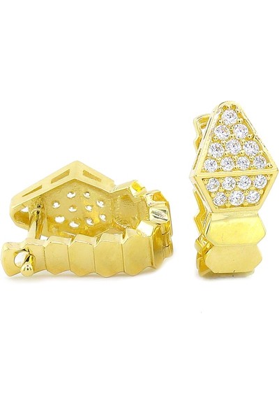 Altınkaynak 14 Ayar Altın Küpe