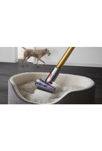 Dyson V12 Detect Slim Absolute + Dyson V12 Detect Slim Absolute +