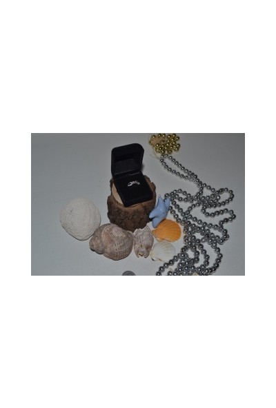 Opachii Kadife Siyah Yüzük Kutusu Opachii Kadife Siyah Yüzük Kutusu