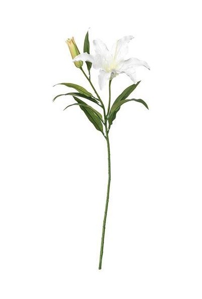 IKEA Yapay Çiçek, Zambak-Beyaz Meridyendukkan 85 cm 1 Dal Beyaz Çiçek Ev Dekorasyonu IKEA Yapay Çiçek, Zambak-Beyaz Meridyendukkan 85 cm 1 Dal Beyaz Çiçek Ev Dekorasyonu