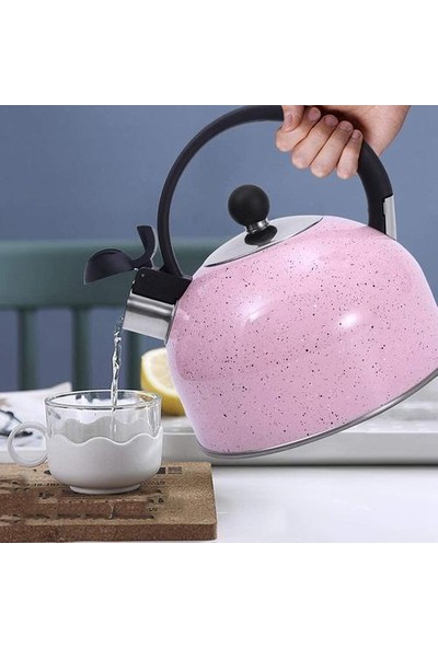 Çay Su Isıtıcısı, Tüm Stopetop Çayı Için Islık Paslanmaz Çelik Taketle, Ince Taban Çay Su Isıtıcısı, Tüm Stopetop Çayı Için Islık Paslanmaz Çelik Taketle, Ince Taban