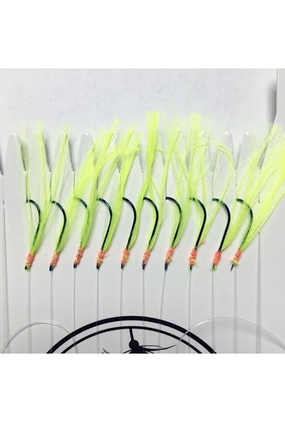 Avcıadam Uskumru Kolyoz Çaparisi (Tekne)