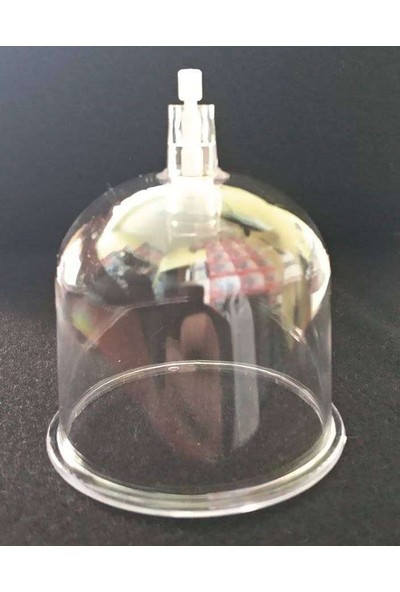 Lisinya Hacamatt Kupası 6 No