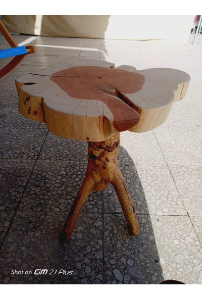 Ahşap Ardıç Ağacı Sehpa