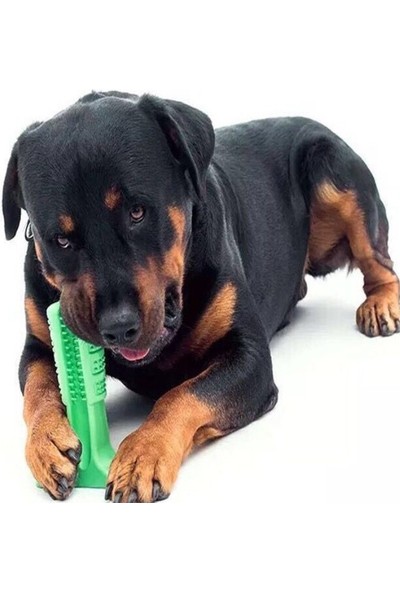 Köpek Diş Fırçası Isırma Aparatı Büyük Boy