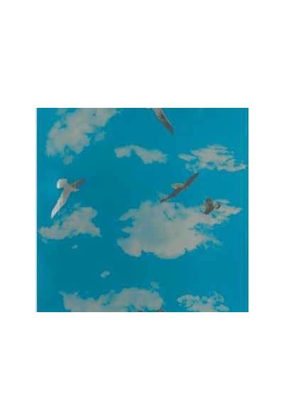Sunex 60X60 Pvc Gökyüzü Desen Asma Tavan Paneli 1paket 20AD 7.2m2 Sunex 60X60 Pvc Gökyüzü Desen Asma Tavan Paneli 1paket 20AD 7.2m2