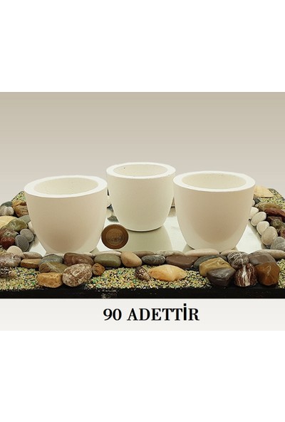 Kaktüs Sukulent Beton Saksısı 90 Adet