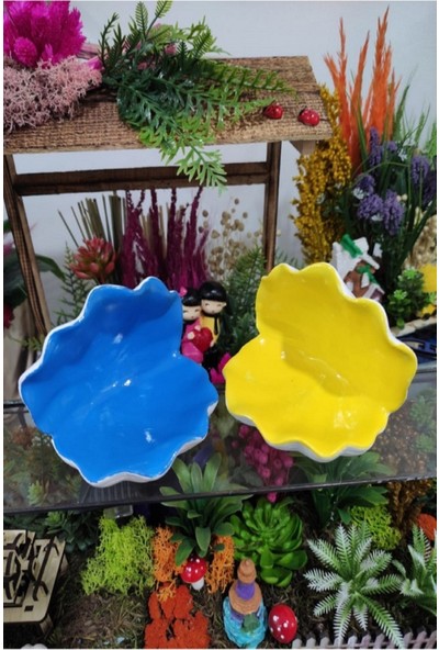 Himi Teraryum Objeleri 2'li Istiridye Midye Dekoratif Obje Istiridye Midye Sunumluk Hediyelik Eşya Himi Teraryum Objeleri 2'li Istiridye Midye Dekoratif Obje Istiridye Midye Sunumluk Hediyelik Eşya