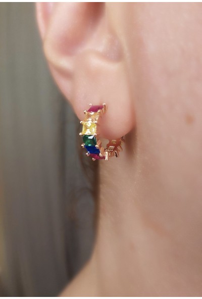 Noia Silver Rose Renkli Taşlı Halka Küpe