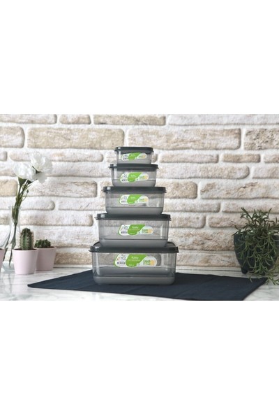 Freshlife Beşli Ruby Kare Saklama Kabı Buzlukta Microdalgada (Kapaksız) Kullanılabilen Freshlife Beşli Ruby Kare Saklama Kabı Buzlukta Microdalgada (Kapaksız) Kullanılabilen