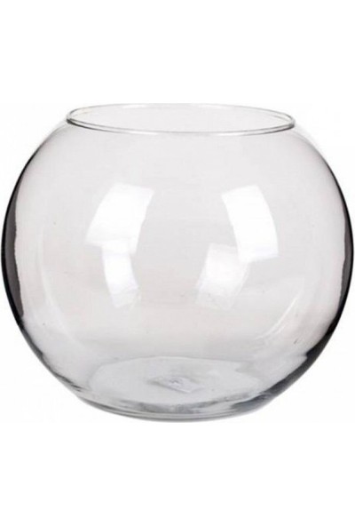 Girist Pet Teraryum Dekoratif Cam Fanus 15X15 cm