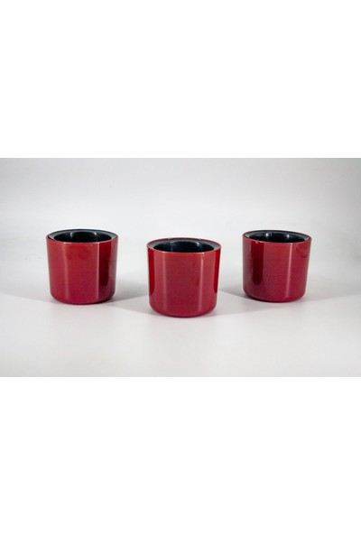 Poliwork Mimoza Saksı 9 cm - 0,4lt Bordo (3 Adet)